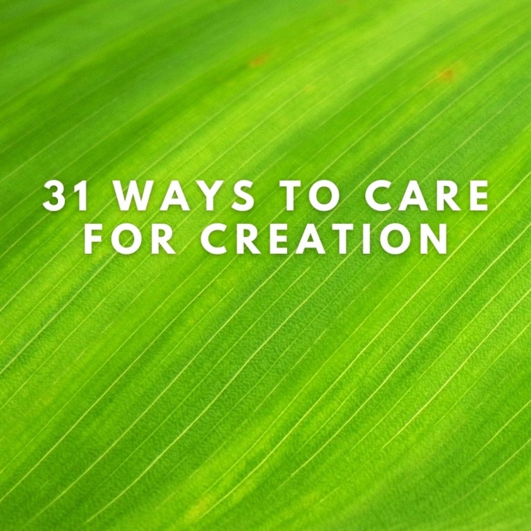 31 Ways To Care For Creation - Beach United Church